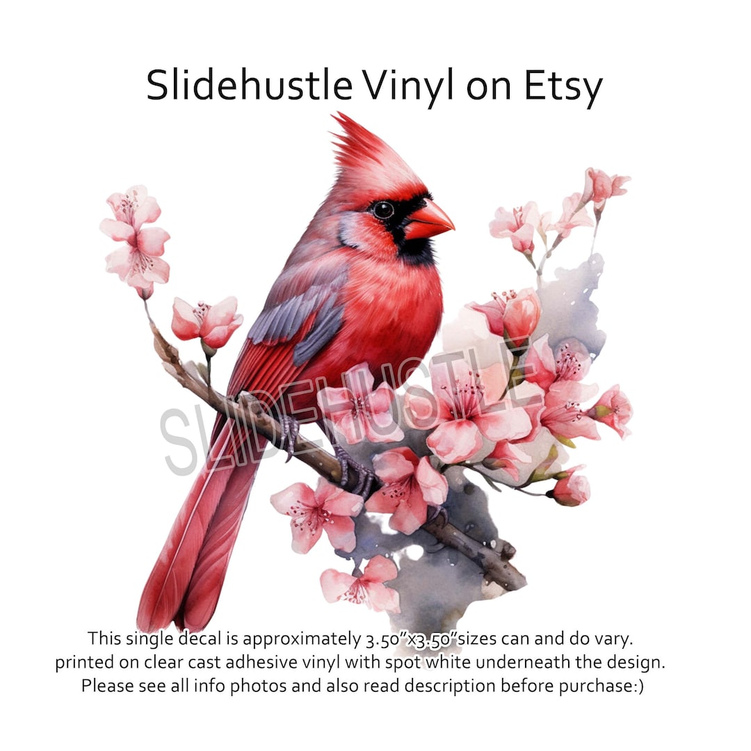 Cardinal, Red Bird, Vinyl Decal, Clear Cast Spot White, CCD, Ready to ...