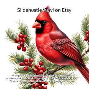 Cardinal, Red Bird, Vinyl Decal, Clear Cast Spot White, CCD, Ready to ...