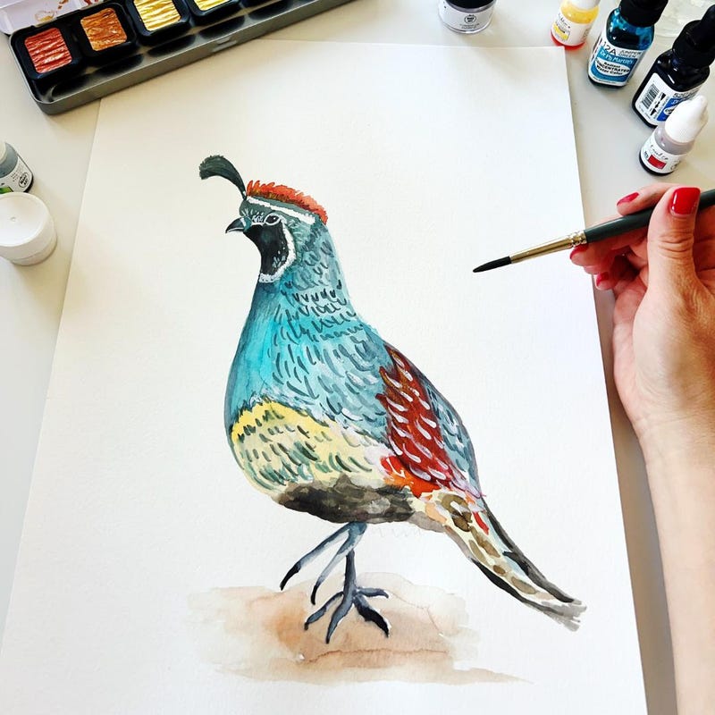 Quail Art - Etsy