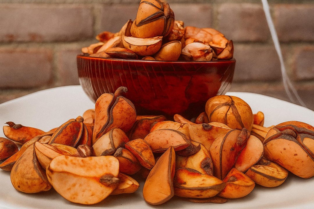 Fresh Organic FOUR Lobes LOOSE PIECES Kola Nut Obi Abata 1/2 Pound (8 ...