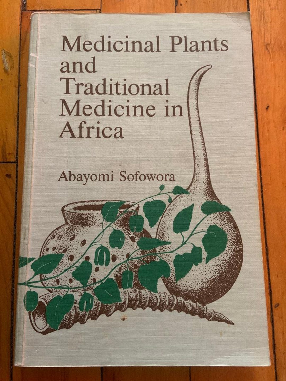 USED Medicinal Plants and Traditional Medicine in Africa by Abayomi ...