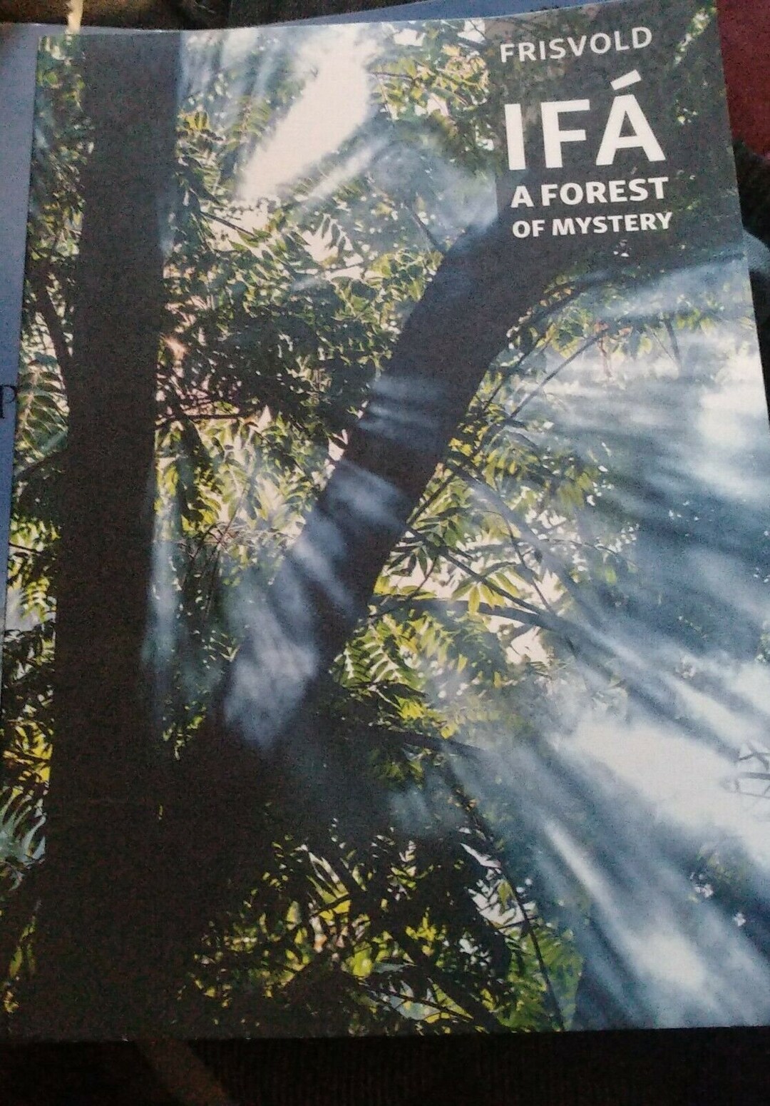 Ifa A Forest of Mystery Ifa by Frisvold - Occult Book， Hoodoo Voodoo ...