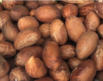 Obi Edun/monkey Kola - Etsy