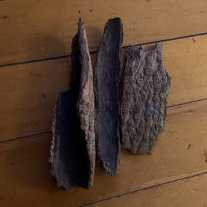 10 Grams Epo Obo Tree Bark (ficus Platyphylla) Ward off Witches and ...