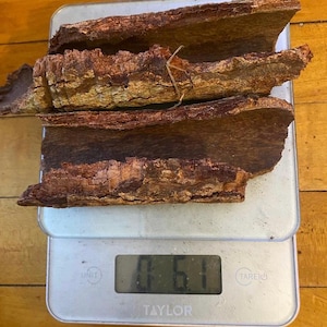 10 Grams Epo Obo Tree Powder (ficus Platyphylla) Anti Witchcraft Bark ...