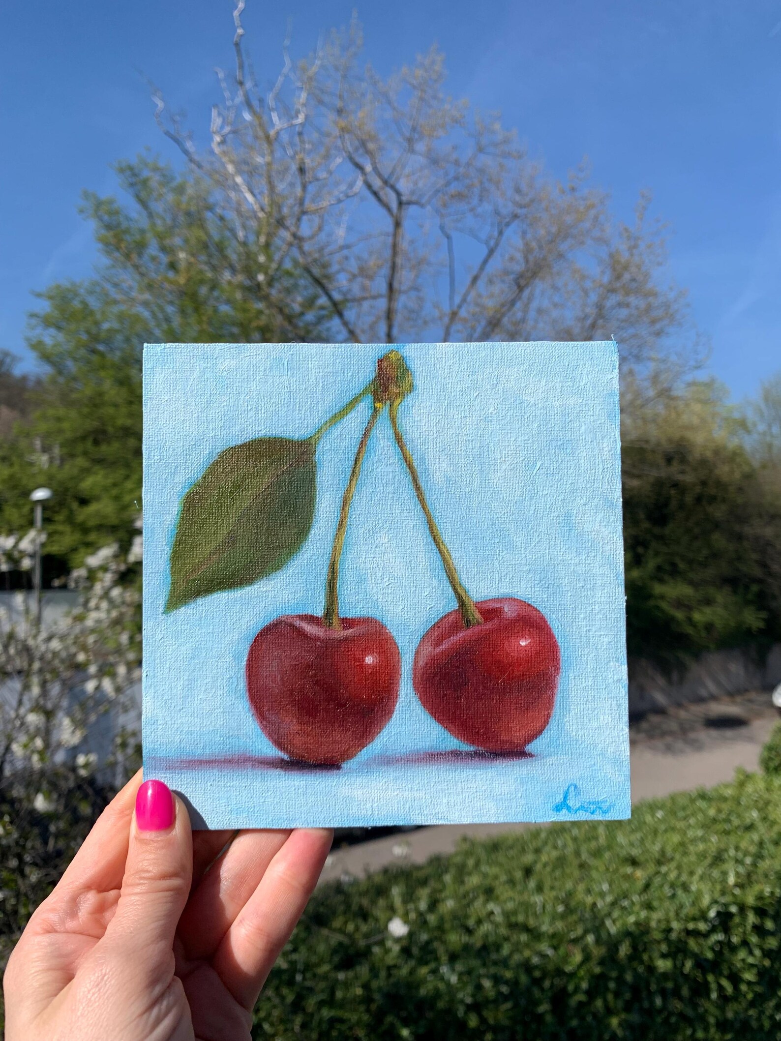 Oil Painting Original | Cherry| Red Fruit| Still Life | Kitchen Decor ...