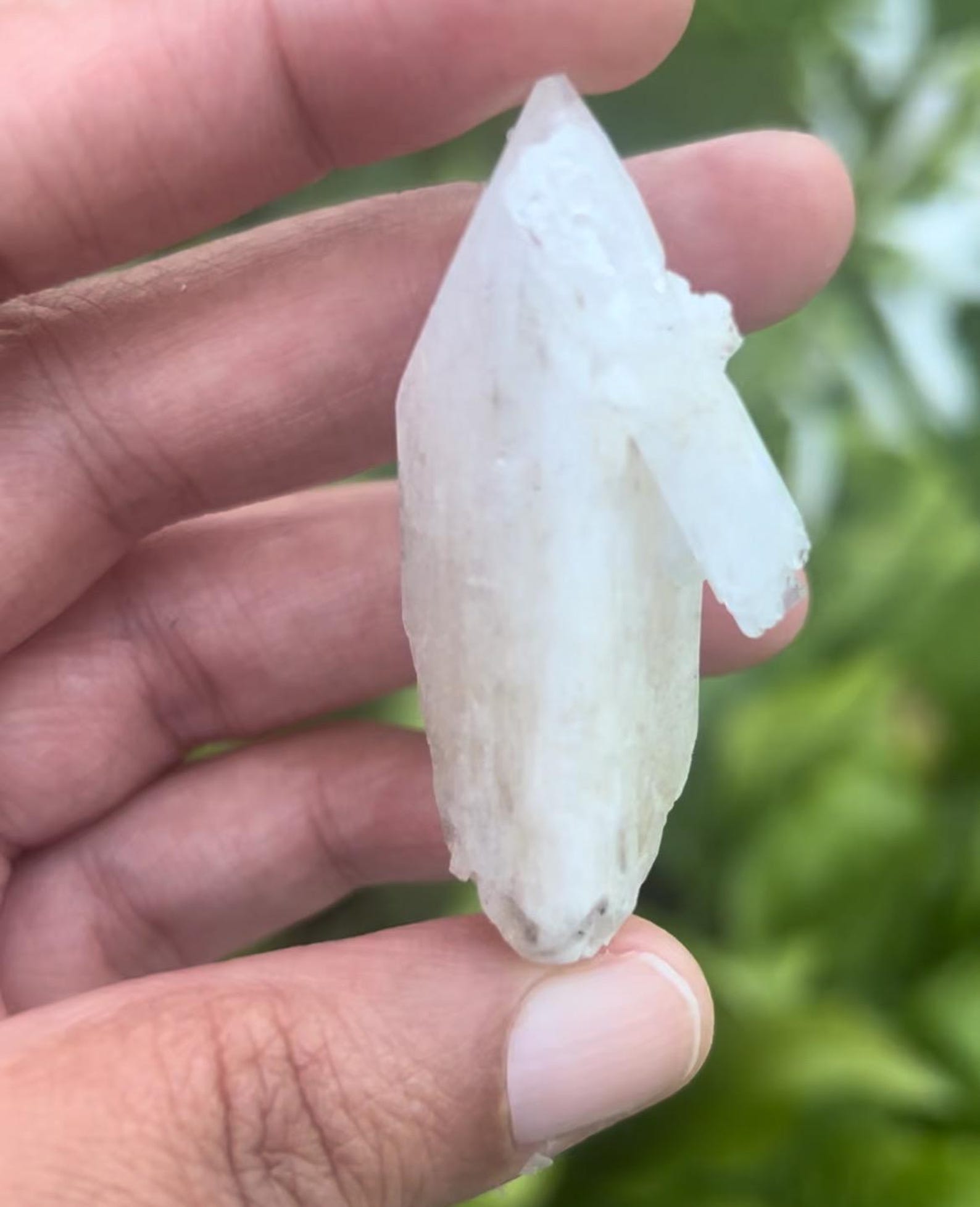 Danburite danburite Crystal-natural Danburite - Etsy