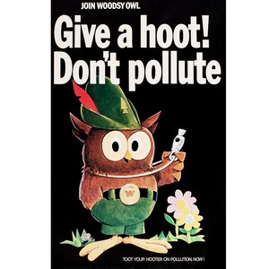 Give A Hoot! Don't Pollute Woodsy Owl Poster - Etsy