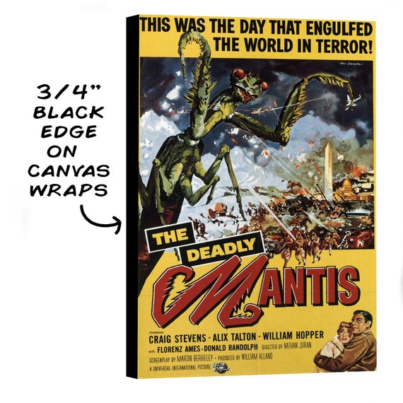 Giant Praying Mantis Movie