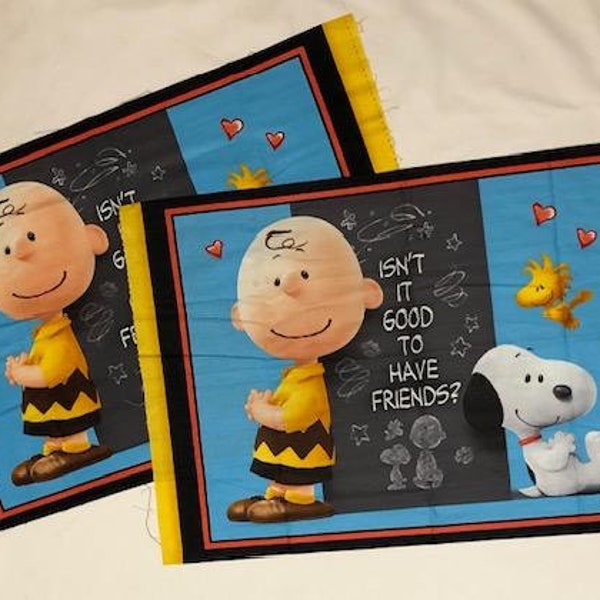 Snoopy and Charlie Brown Fleece - Etsy