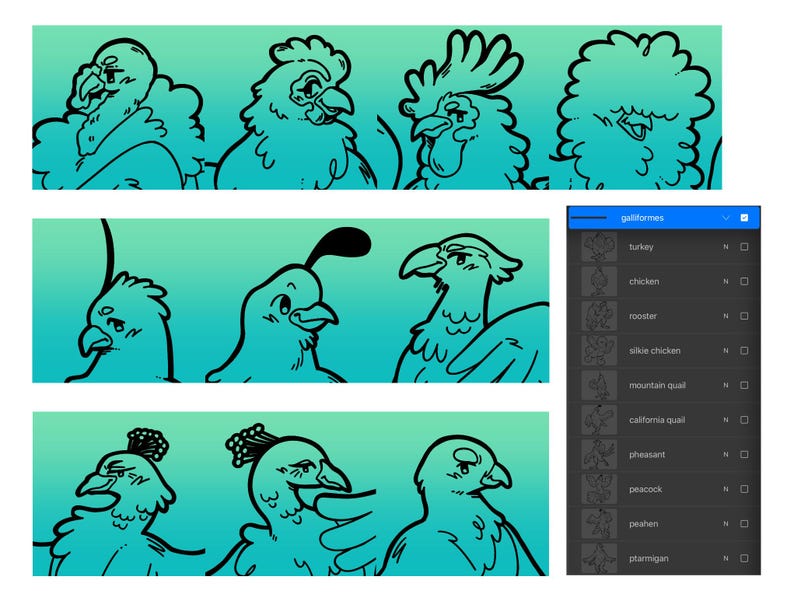 Big Bird Base Pack | Furry, Avian, Art Base, Digital Download - Etsy