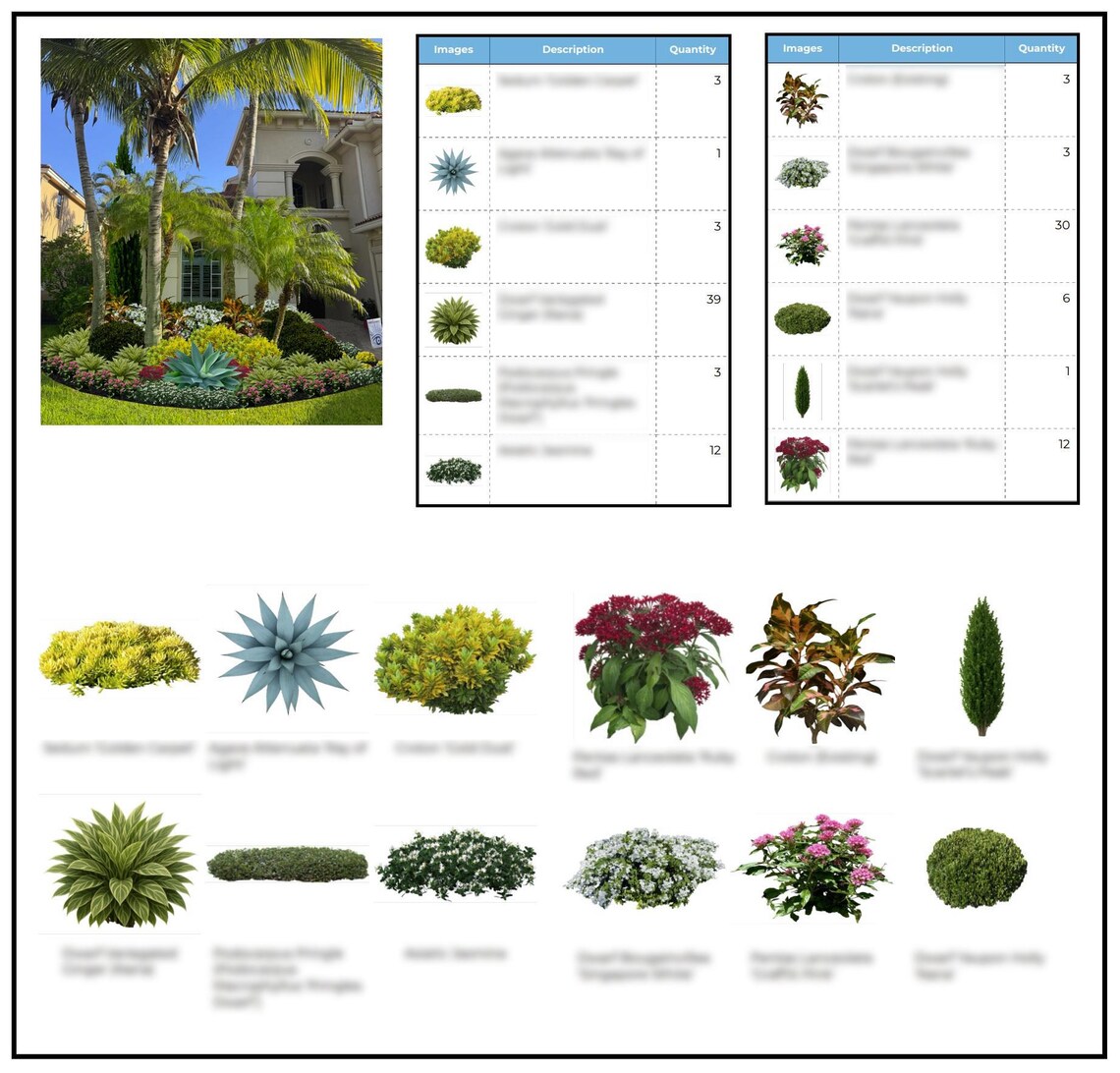 Florida Premade Landscape Design – Landscape Berm Garden – USDA Zones 8 ...