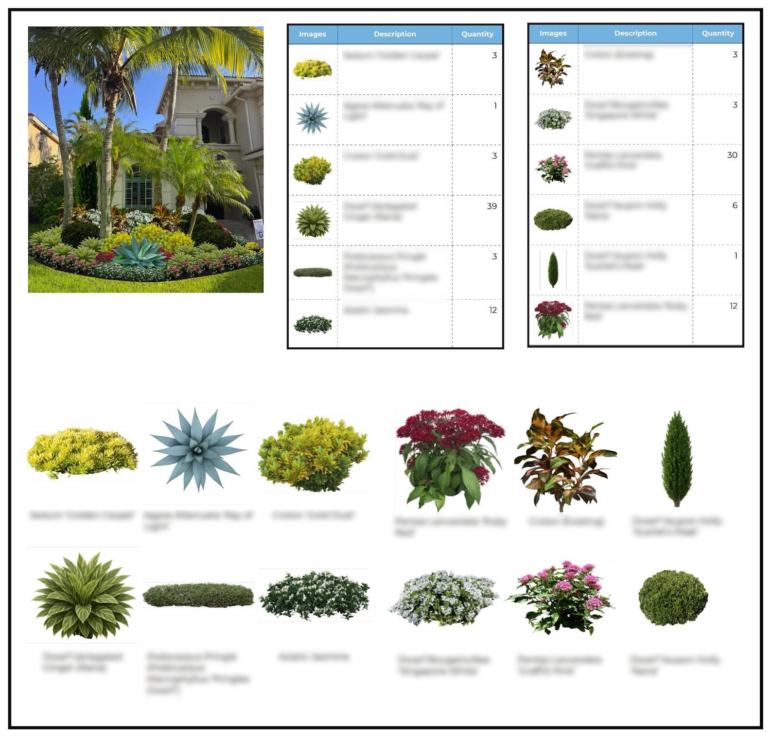Florida Premade Landscape Design – Landscape Berm Garden – USDA Zones 8 ...