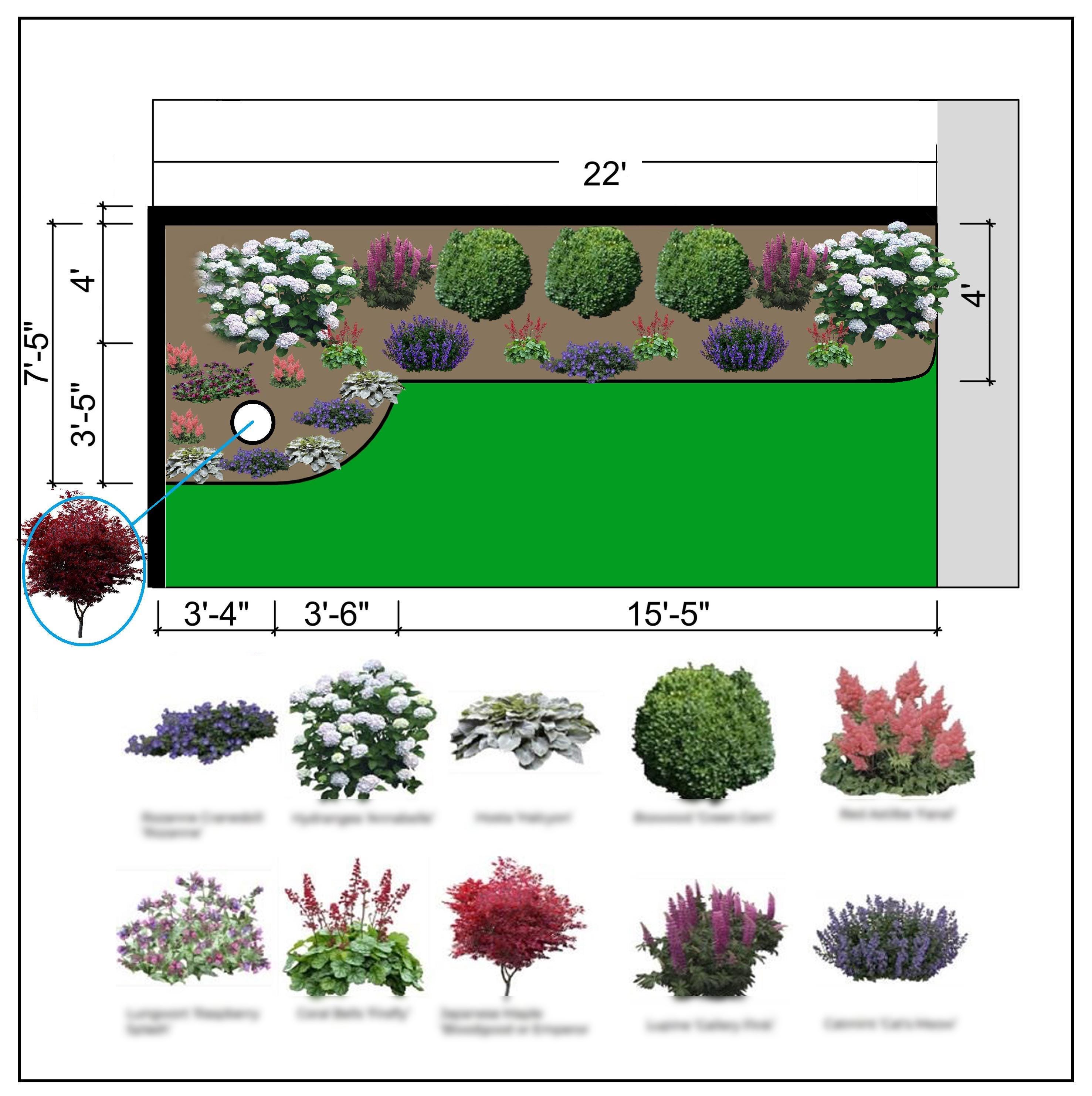 Premade Fence Landscape , Hydrangea Bush Design, Zone 5-8 Landscape Design, Landscaping Privacy ...