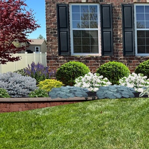 Zone 6-9 Landscape, Landscape Design, Landscape Layout, Plant List ...