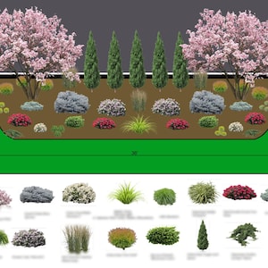 Premade Fence Landscape , Magnolia Tree Design, Zone 5-8 Landscape ...