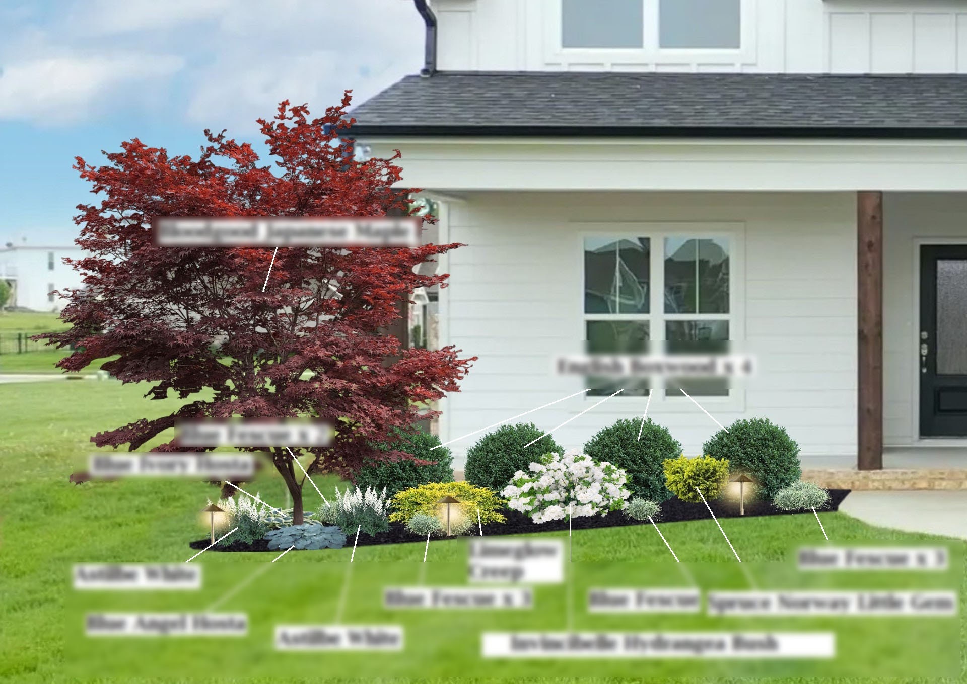 Japanese Maple In Front Yard Plants_details Adcock's Nursery