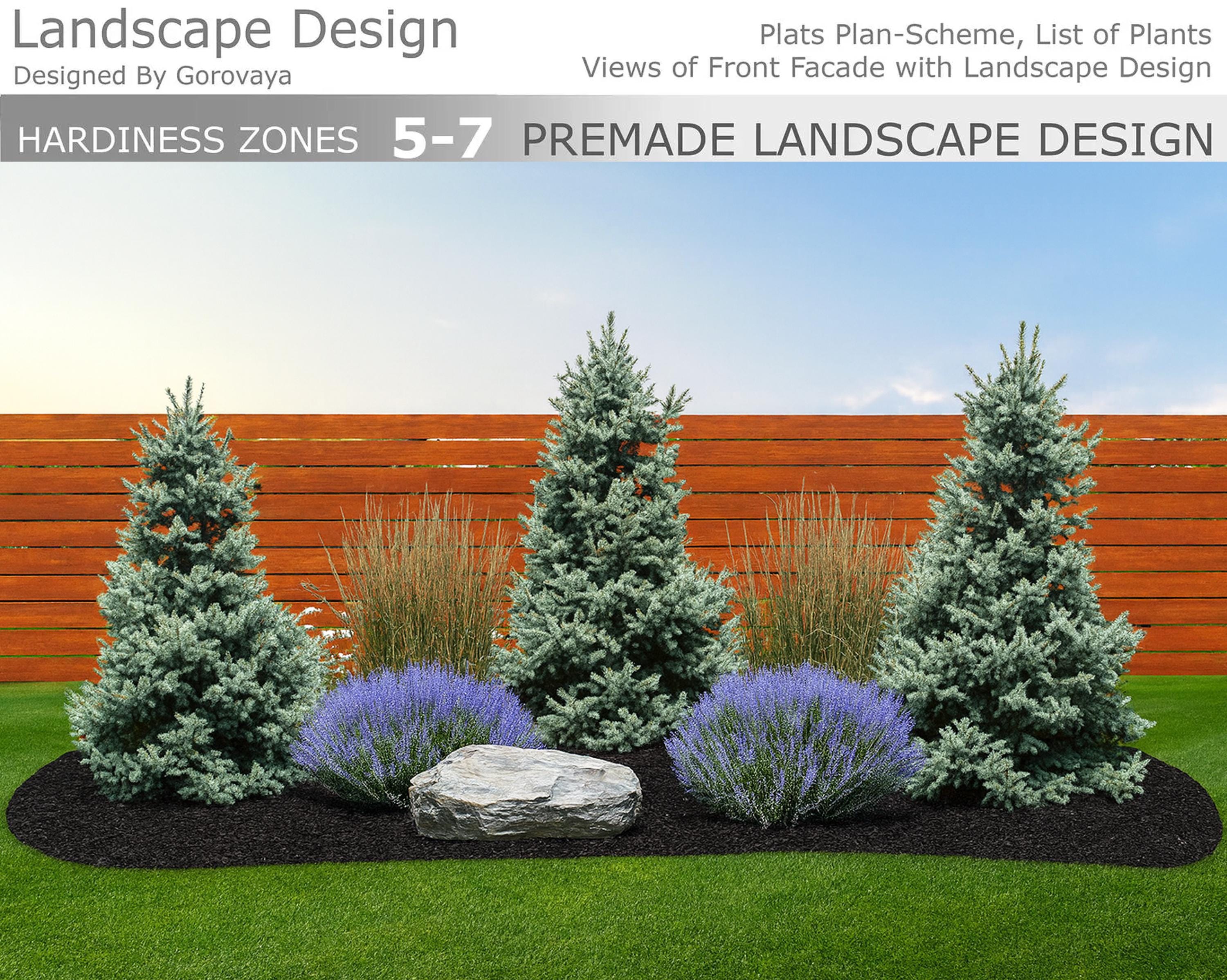 Evergreen Front Yard Landscape Design | Natural Privacy Layout for ...