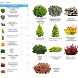 Premade Landscape Design, Landscape Berm, Zone 5-8 Berm, Coniferous ...