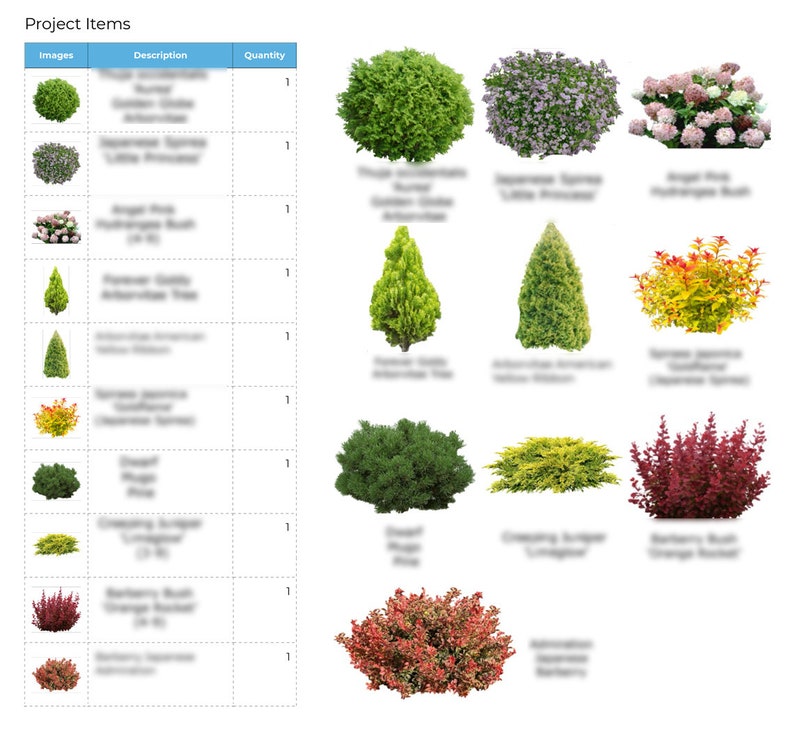 Premade Landscape Design, Landscape Berm, Zone 5-8 Berm, Coniferous ...