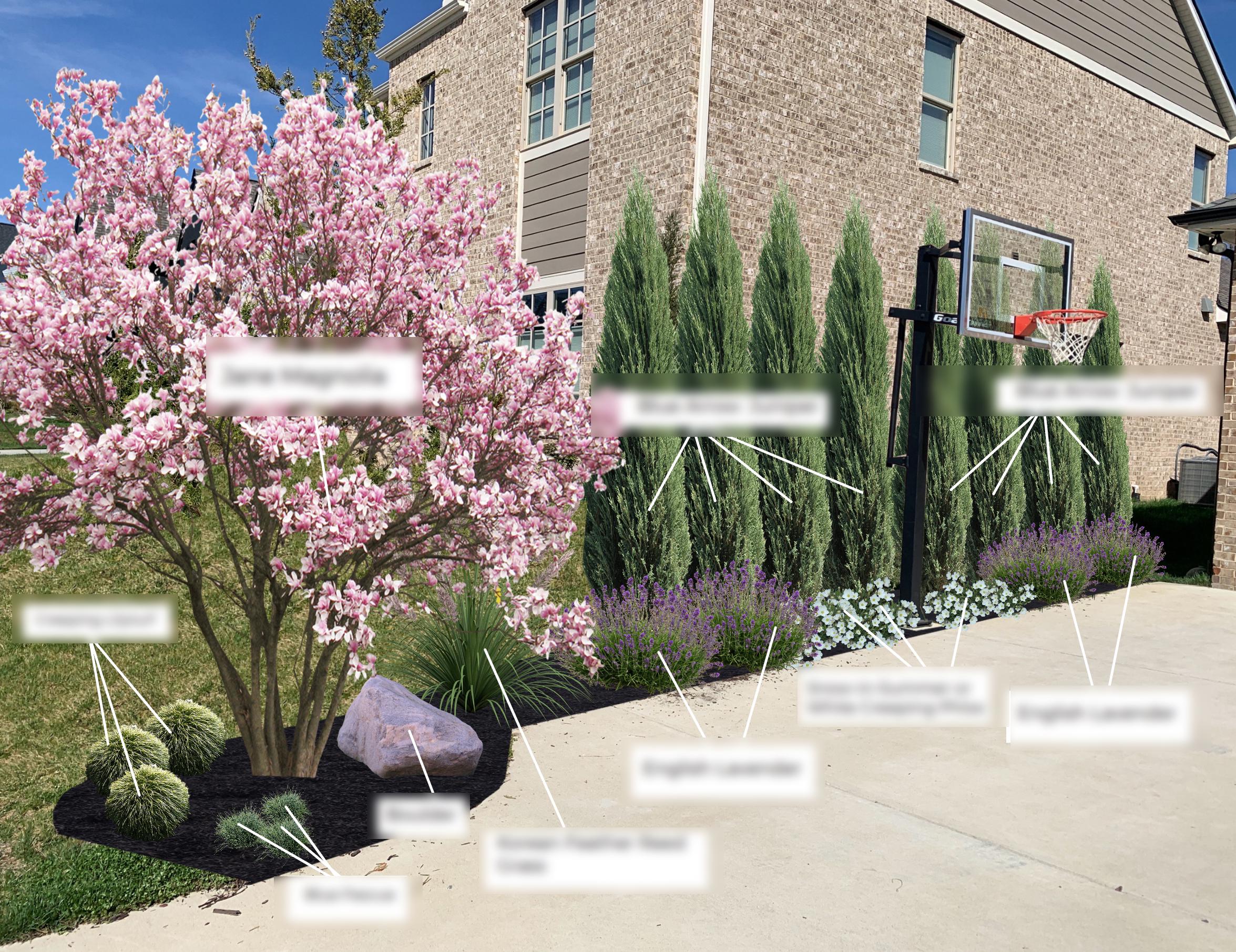 Premade Landscape Design, Zone 4-9 Landscape Design, Landscaping Privacy, Landscape Design ...