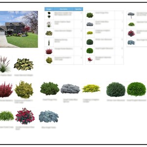 Ready-made Landscape, Landscape Design Online, Japanese Maple Front ...