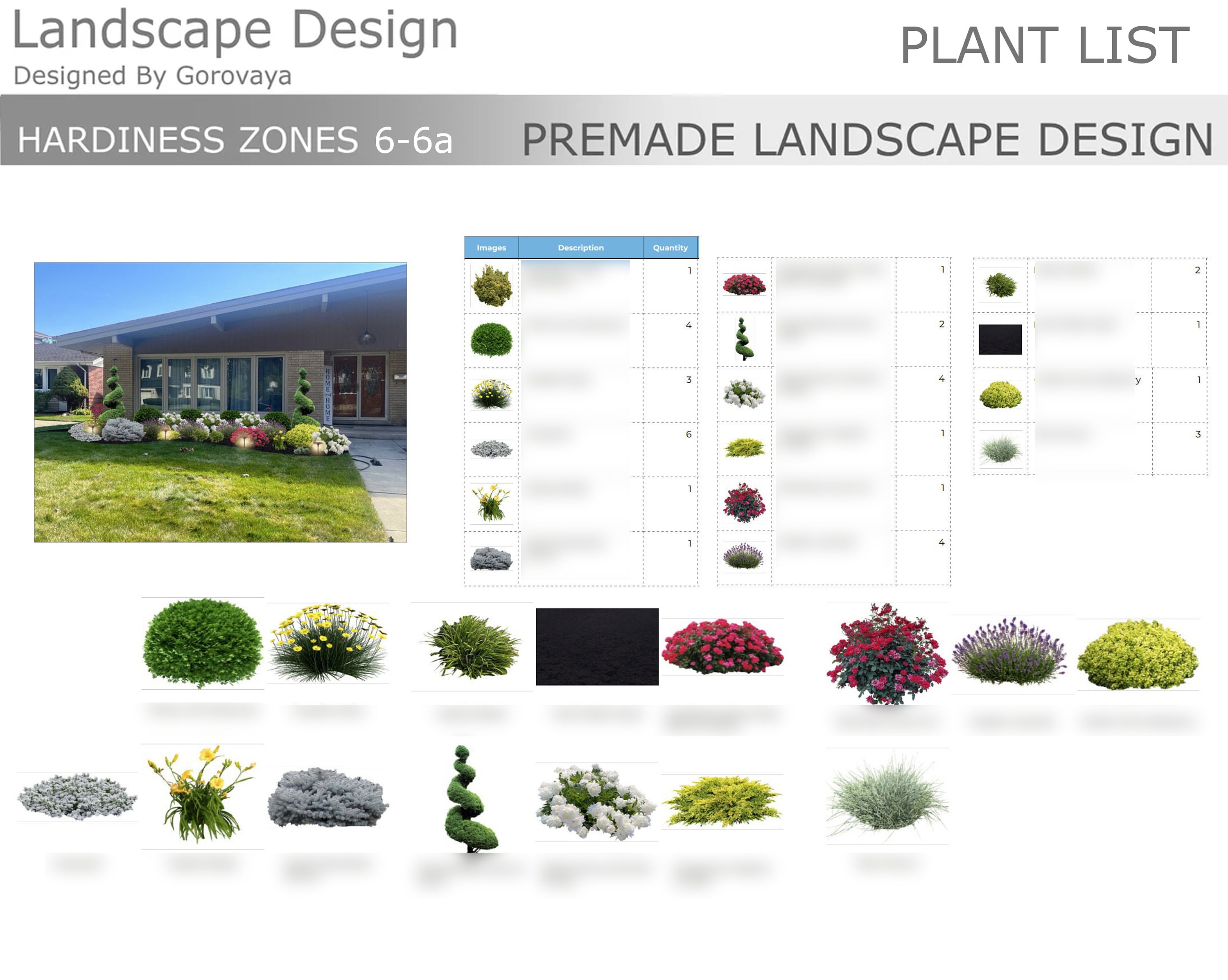 Ready-made Landscape, Premade Spiral Tree Design, Zone 6 (6a) Landscape Design, Landscaping ...