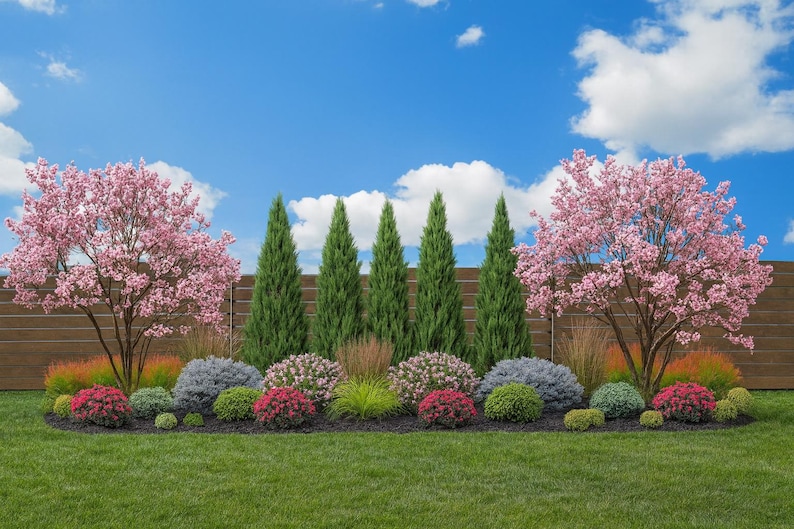 Premade Fence Landscape , Magnolia Tree Design, Zone 5-8 Landscape ...