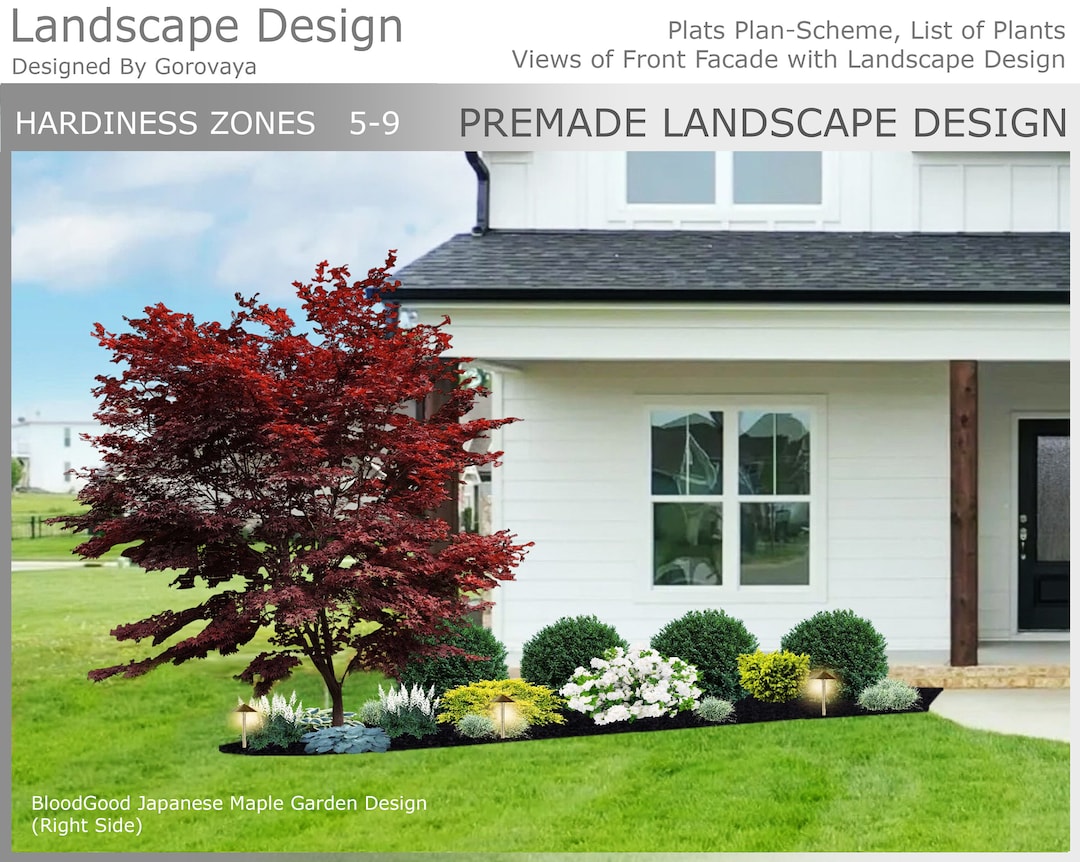 Bloodgood Japanese Maple: Zone 5-9 Front Yard Design - Instant Charm ...