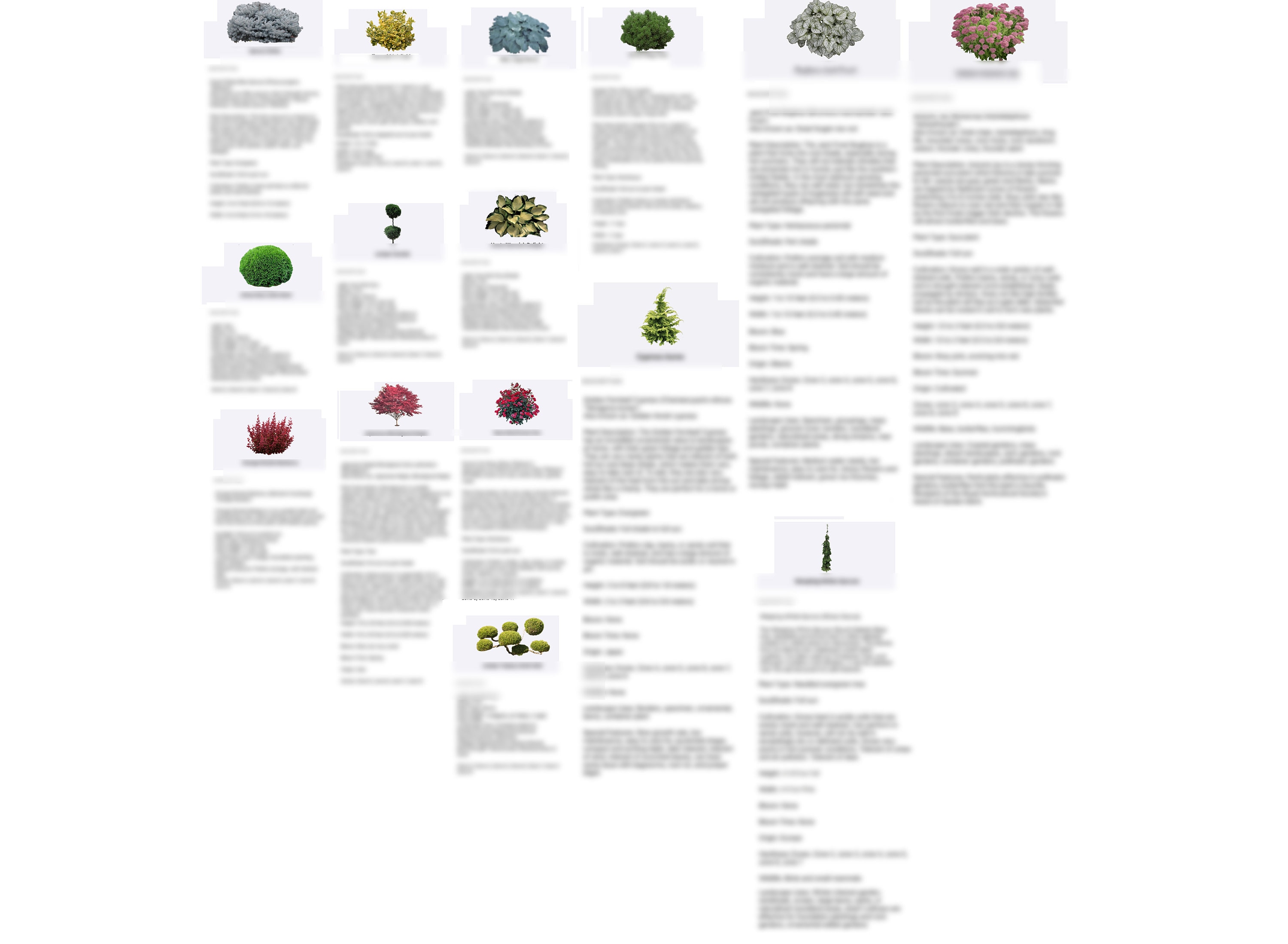 Premade Landscape Design, Landscape Design, Landscape Layout, Plant ...
