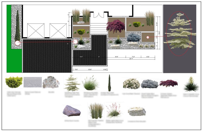 Japanese Maple Front Yard Landscape Design (zones 5–9), Modern ...
