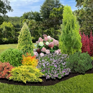 Premade Landscape Design, Landscape Berm, Zone 5-8 Berm, Coniferous ...