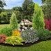Premade Landscape Design, Landscape Berm, Zone 5-8 Berm, Coniferous ...