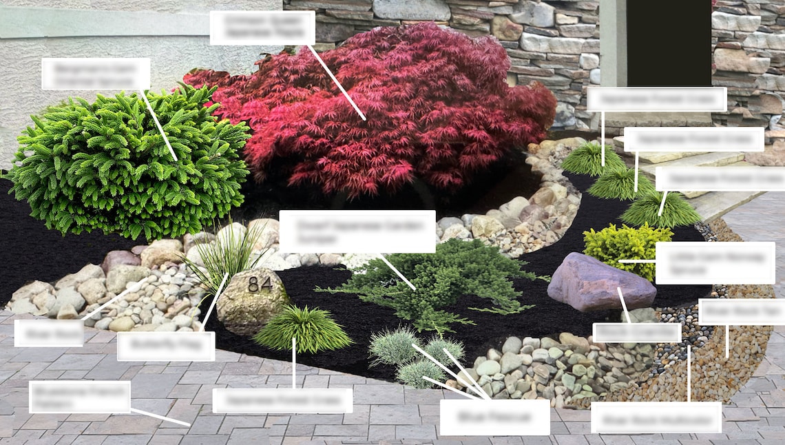 Premade Landscape Design, Ready Made Landscape Design, Zone 5-8 ...