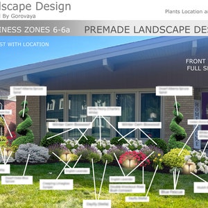 Ready-made Landscape, Premade Spiral Tree Design, Zone 6 (6a) Landscape ...