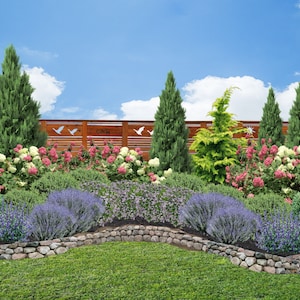 Premade Fence Landscape , Hydrangea Bush Design, Zone 4-8 Landscape ...