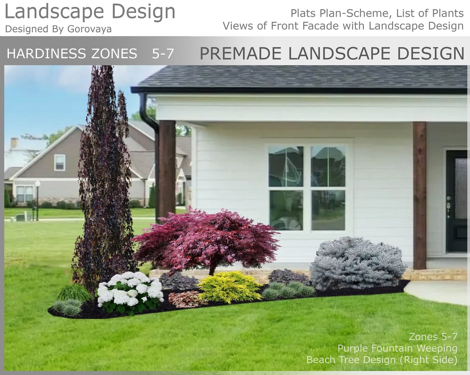 Ready-made Zone 5-7 Landscape Design, Colorful Garden, Weeping Beech ...