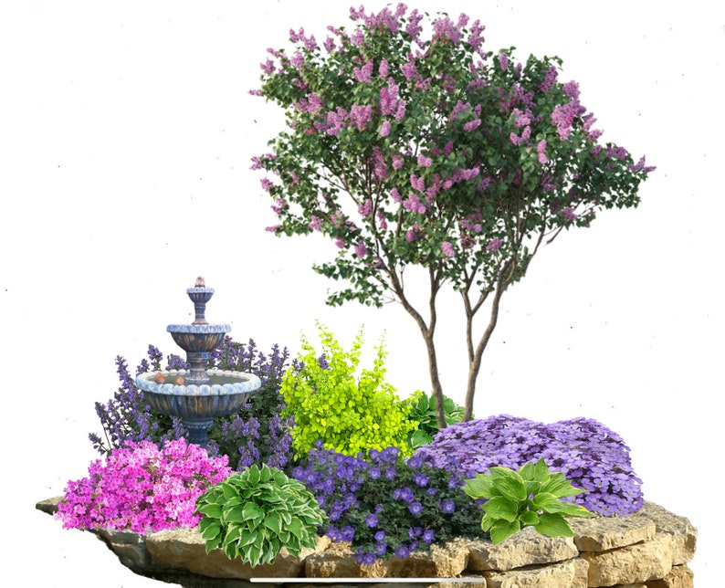 Premade Fence Landscape , Lilac Tree Berm Idea, Zone 5-8 Landscape ...