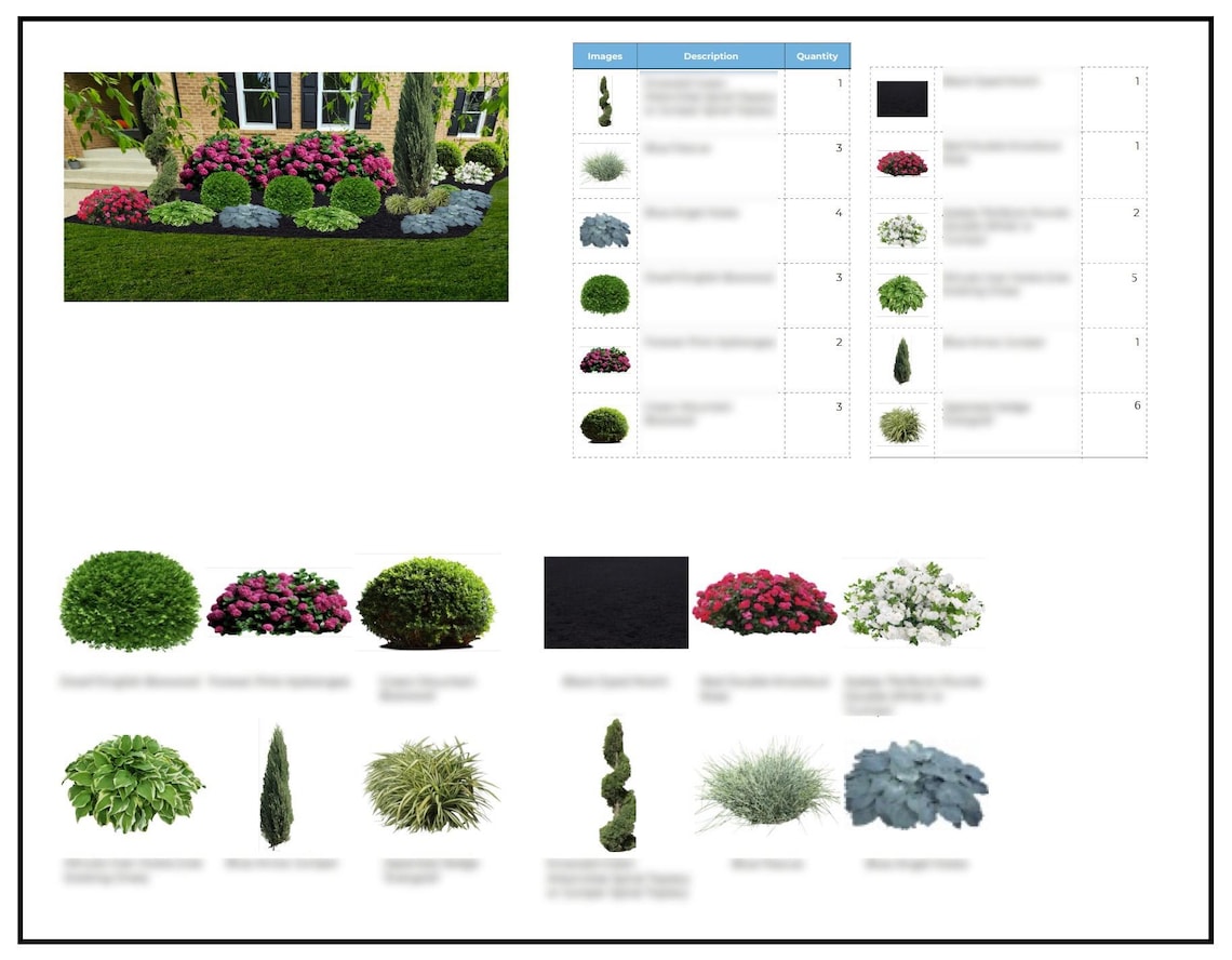 Premade Landscape Design, Landscape Garden Bed, Zone 5-8 , Landscape ...