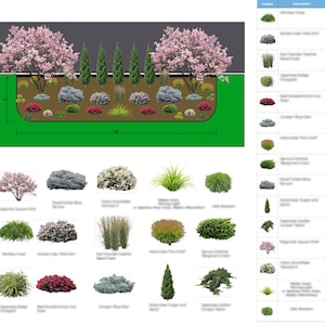 Premade Fence Landscape , Magnolia Tree Design, Zone 5-8 Landscape ...