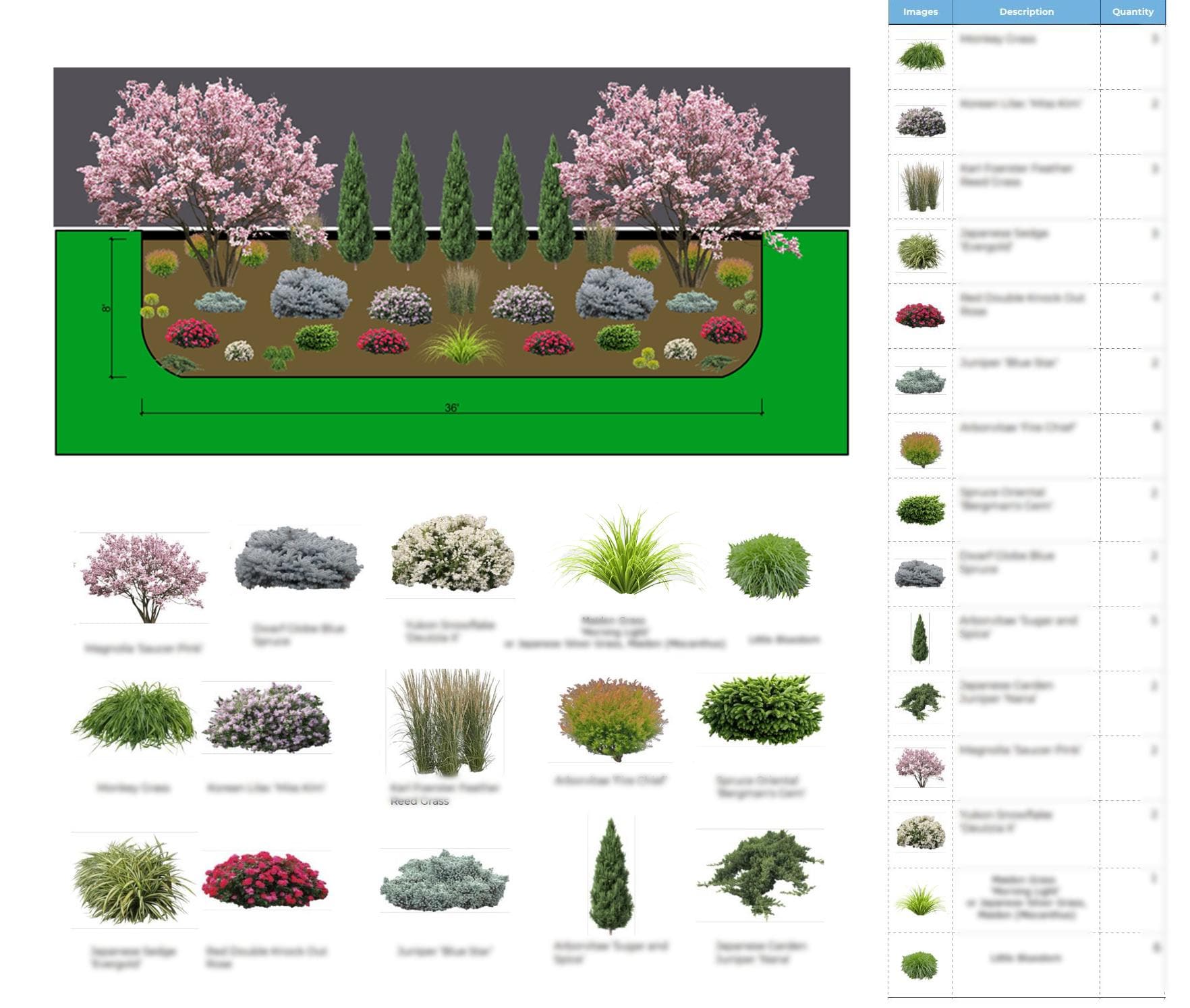 Premade Fence Landscape , Magnolia Tree Design, Zone 5-8 Landscape ...