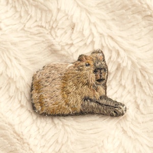 Capybara Handmade Brooch Hand Embroidery Pin, Capybara Lover Gift Ideas ...