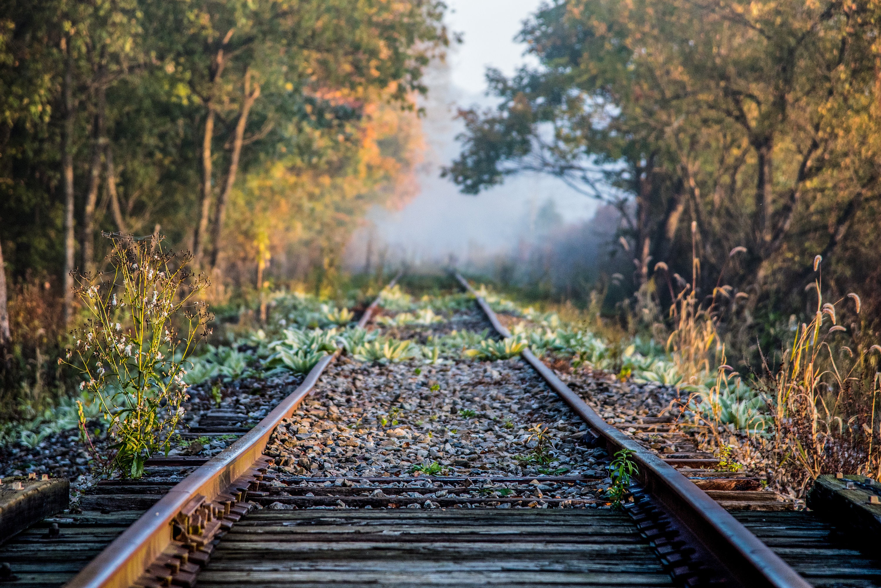 Train Track Photography Fine Art Photography Train - Etsy Nederland