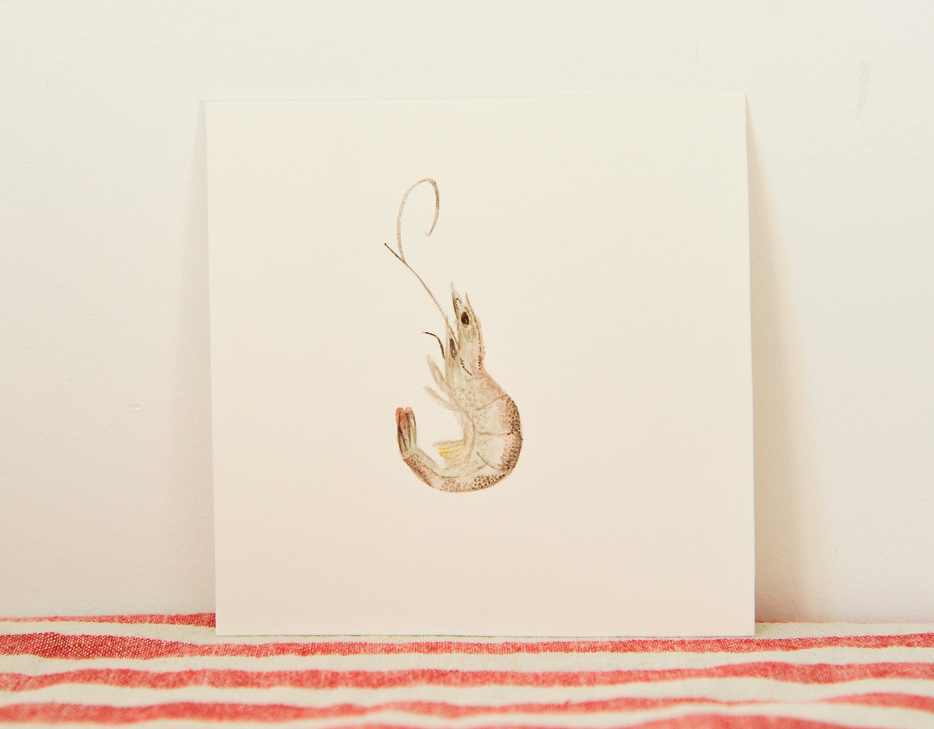 Aquarelle Prawn Shrimp Original Tiny Watercolor Painting Miniature ...