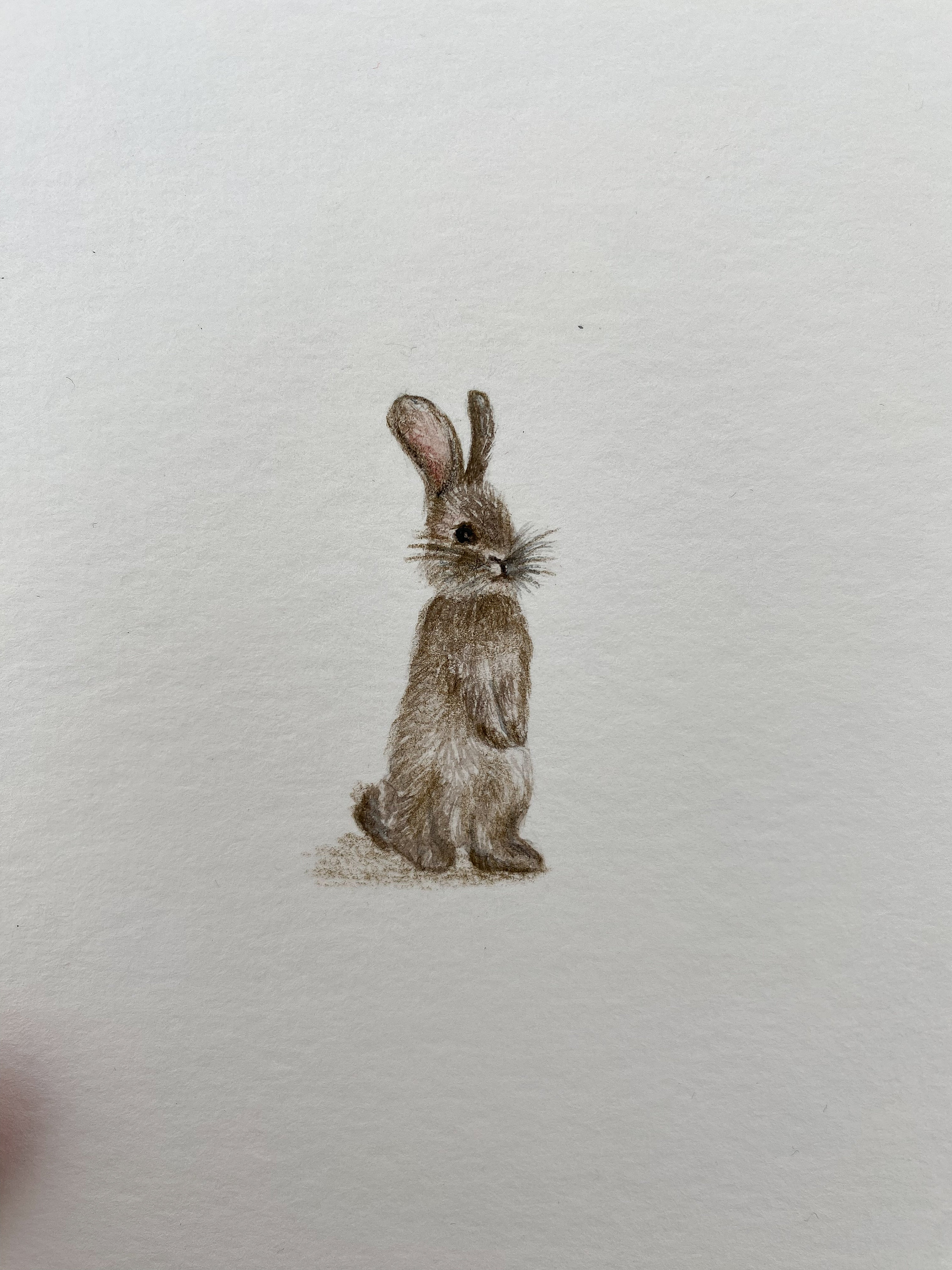 Aquarelle Bunny Original Tiny Painting Miniature Rabbit Hare - Etsy