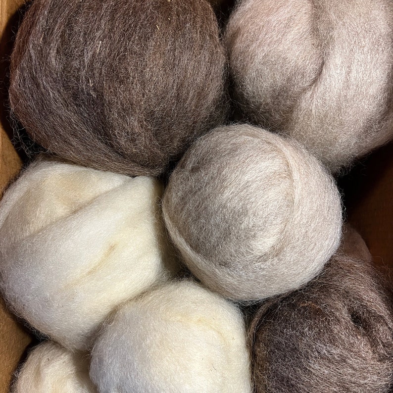 Romney Wool Sheep Roving - Etsy