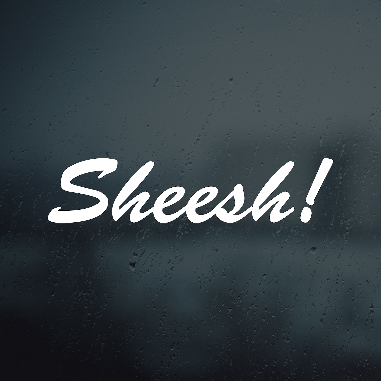 Sheesh Vinyl Decal Sticker - Etsy