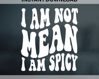 I Am Not Mean I Am Spicy Svg, Funny Quote Svg, Funny Adult Svg, Sarcasm ...