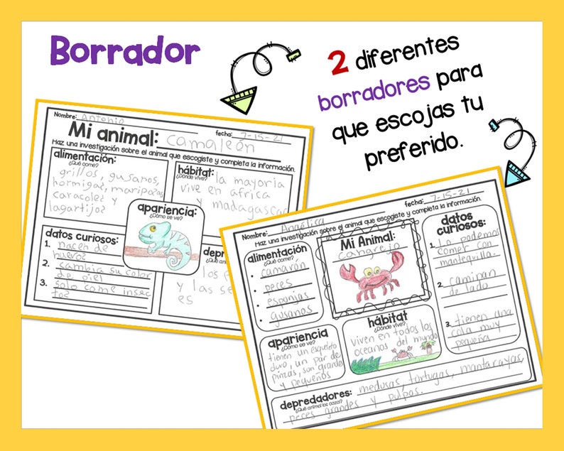 Investigacion De Animales - Etsy