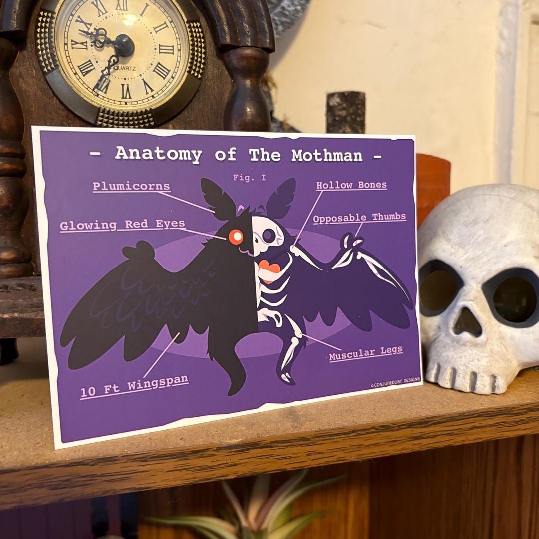 Mothman Anatomy - Prints - Etsy